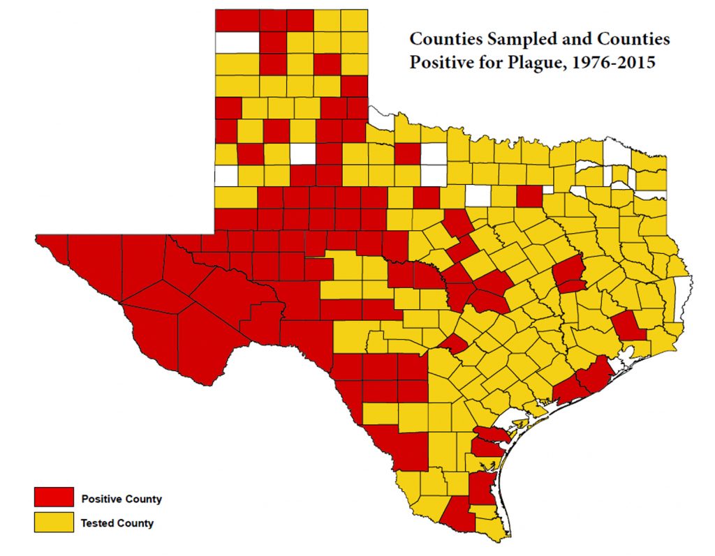Texas Department Of State Health Services, Infectious Disease ...
